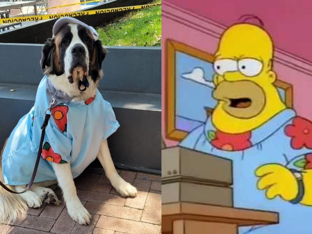 Viral: El perrito disfrazado de Homero Simpson que conquistó a Internet ...